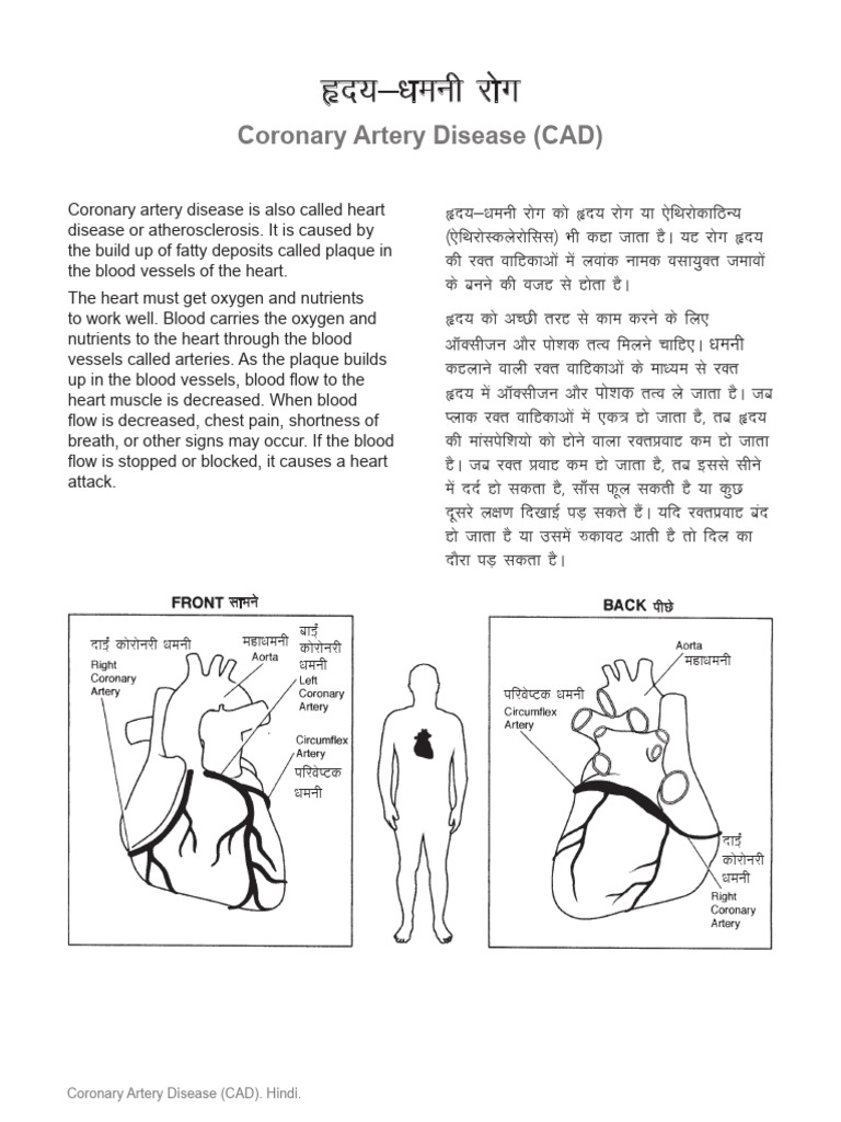 CAD Hindi | PDF | Heart | Coronary Artery Disease