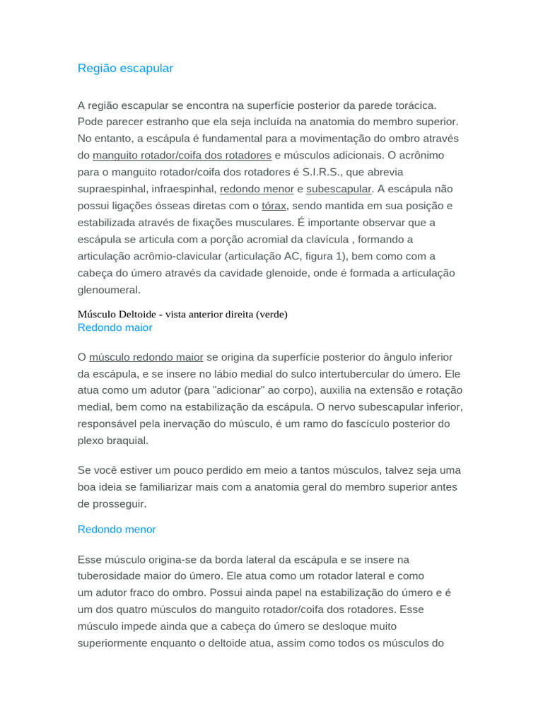 Região escapular | PDF | Membros (anatomia) | Anatomia humana