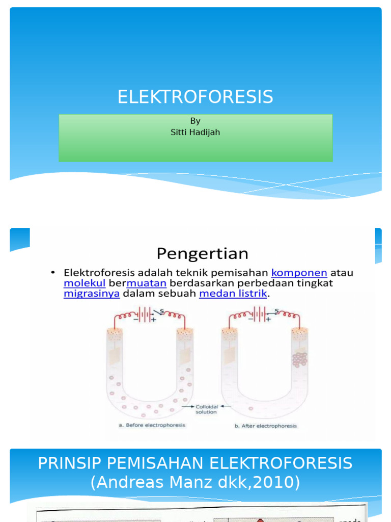 Elektroforesis DNA | PDF
