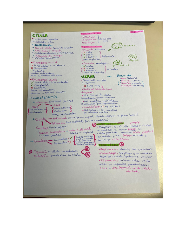 Esquemas Bio Unit2 | PDF