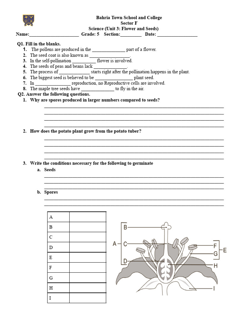MUHAMMAD AHAD OMAR - Grade 5-Science Worksheet-Flower and Seeds | PDF