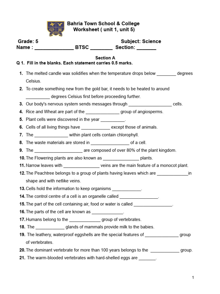 Science-Grade 5 - OCT - (2024) Worsksheet | PDF | Leaf | Plants