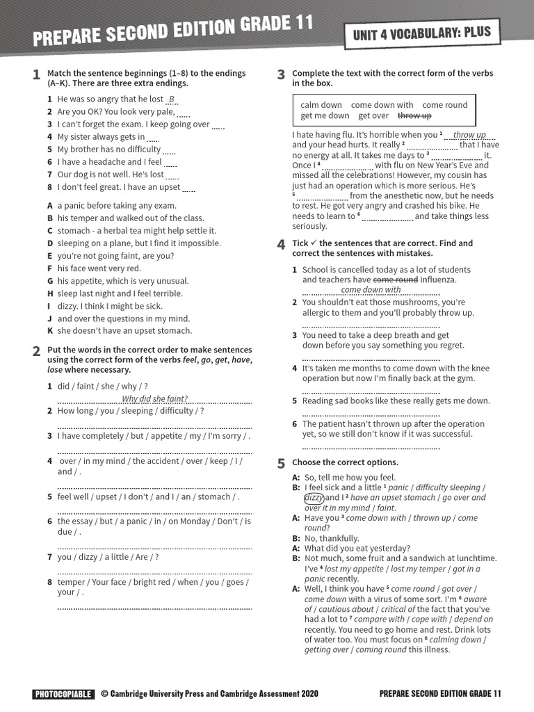 Grade 11 Vocabulary Exercises: Unit 4 | PDF
