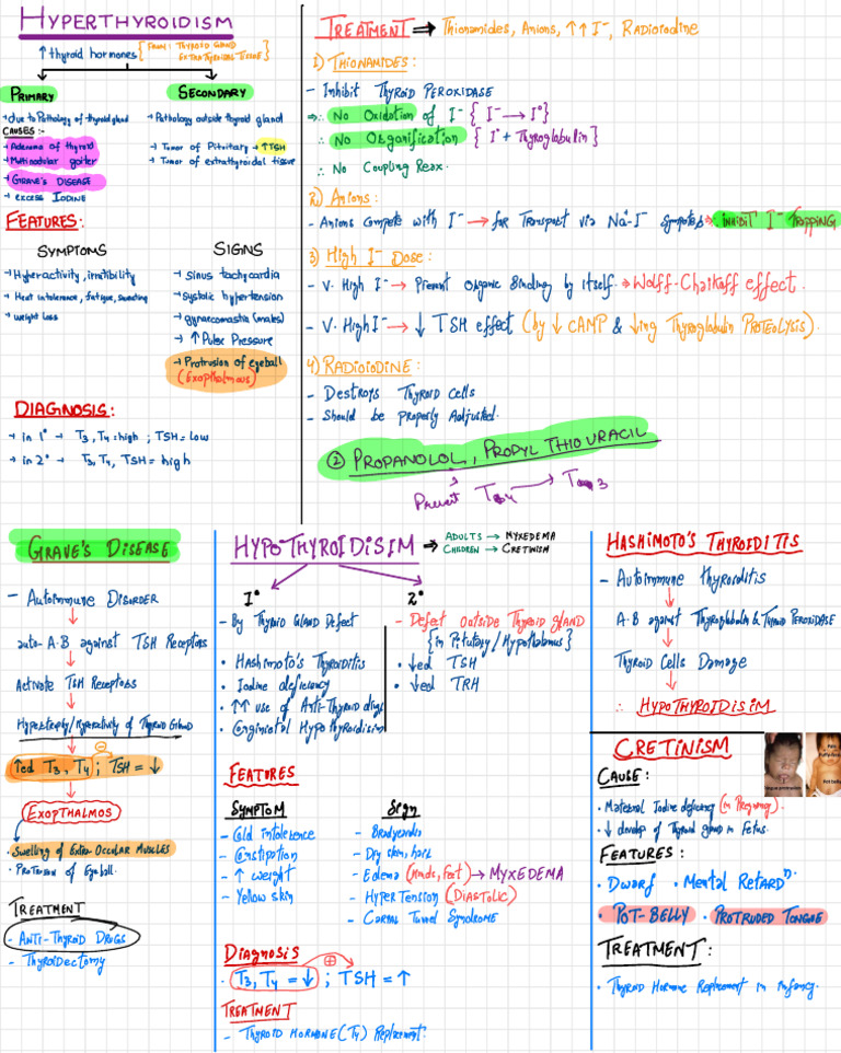 Hypo and Hyperthyroidism Physiology | PDF | Thyroid | Thyroid ...