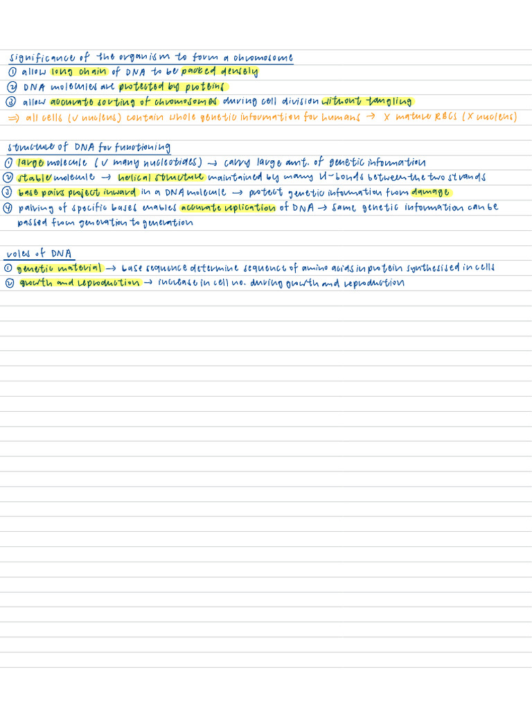 Molecular Genetics Notes | PDF | Translation (Biology) | Messenger Rna