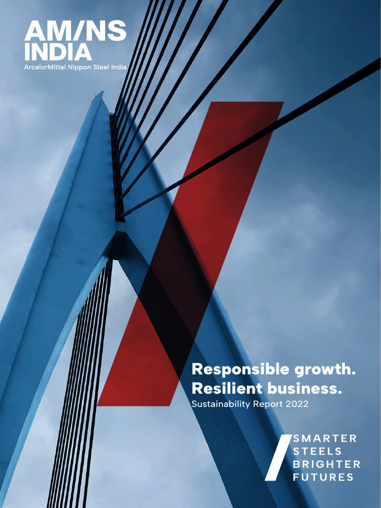 Amns Sus Rep 2022 | PDF | Sustainability | Governance