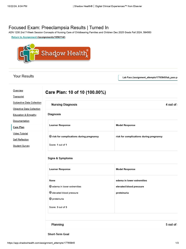 7 CARE PLAN Focused Exam Pre Eclampsia Naomi Adebayo | PDF | Health ...
