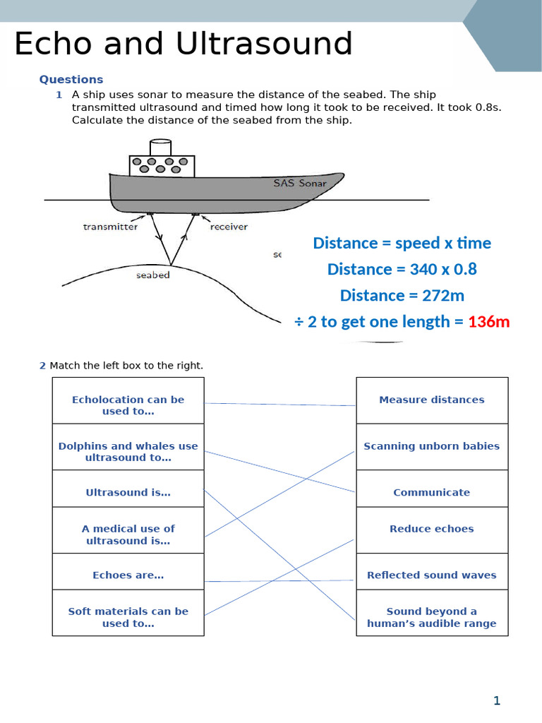 L5 Echo and Ultrasound MS | PDF