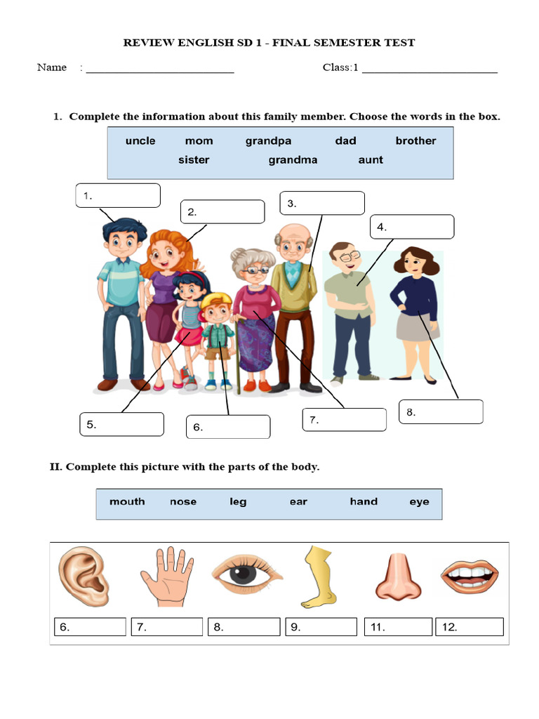 Review ENGLISH Grade 1 | PDF