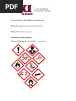Pictogramas de Seguridad Esenciales | PDF | Quemar