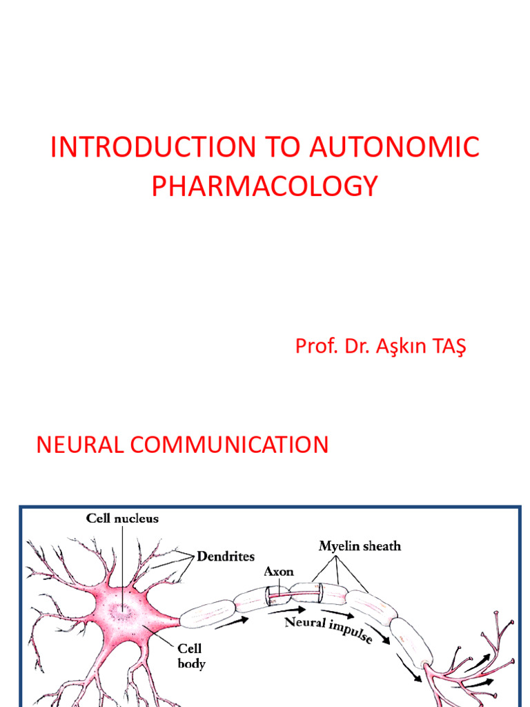 Autonomic Pharmacology Overview | PDF | Acetylcholine | Neurotransmitter