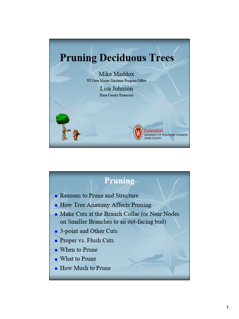 1000 Friends Tree Pruning | PDF | Pruning | Plants