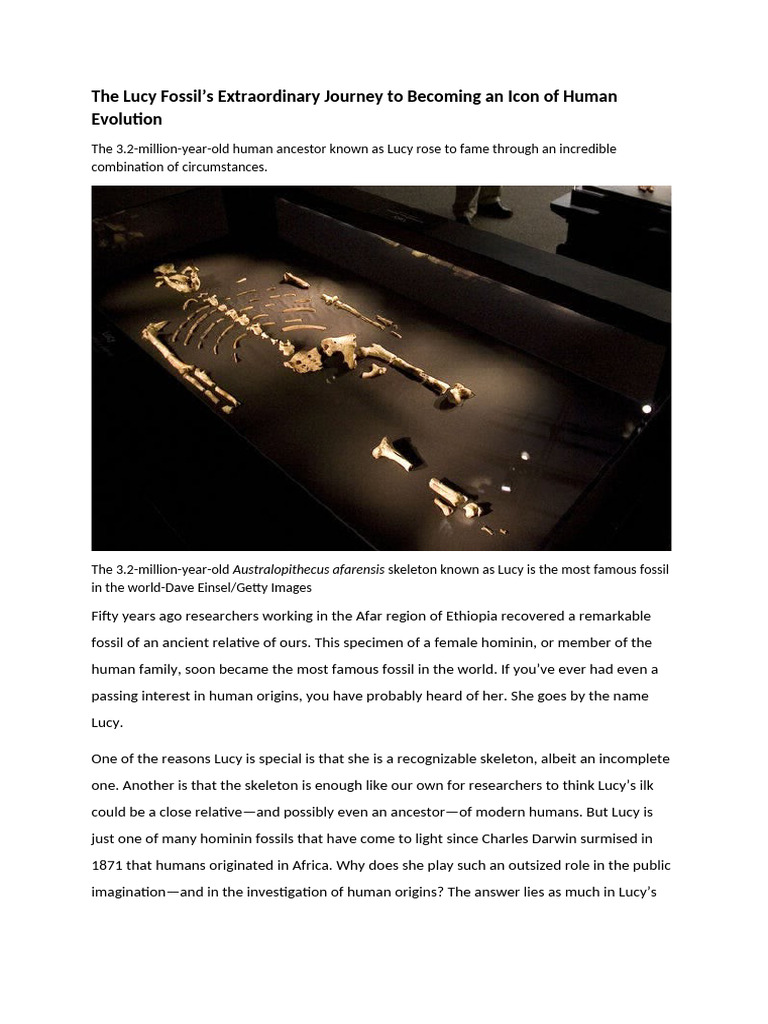 The Lucy Fossil | PDF | Lucy (Australopithecus) | Paleoanthropology