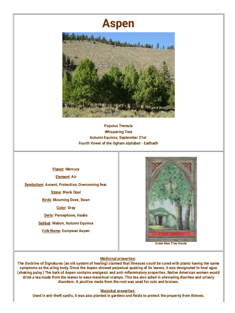 Aspen | PDF | Persephone | Hades