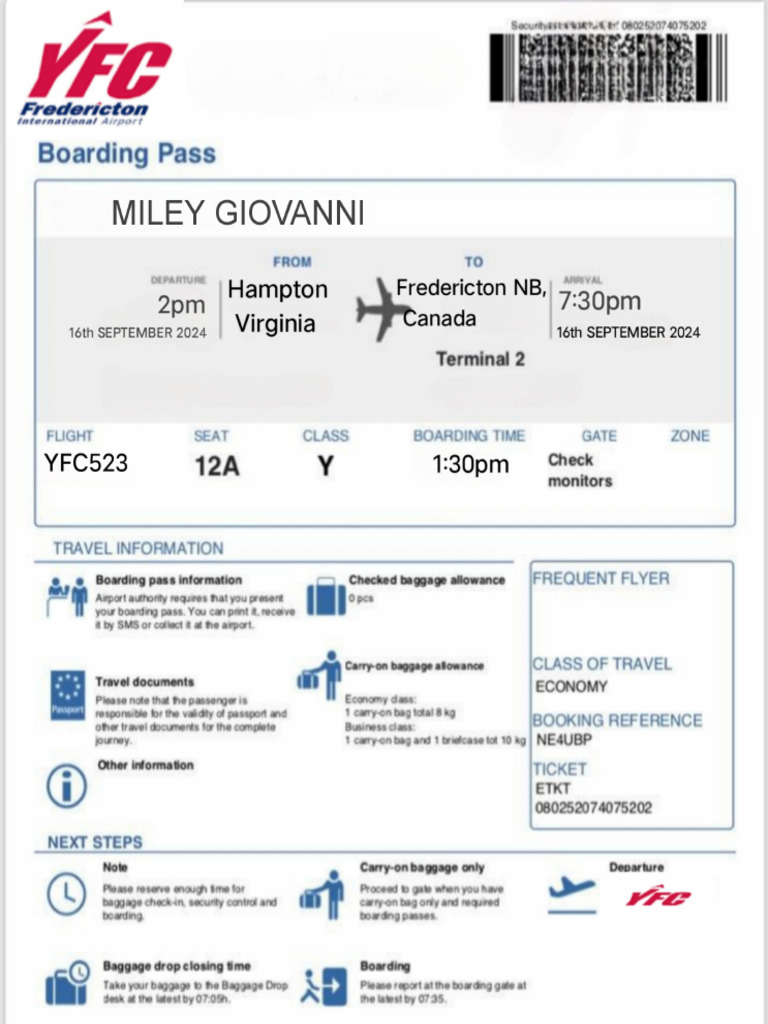 MILEY GIOVANNI flights ticket | PDF