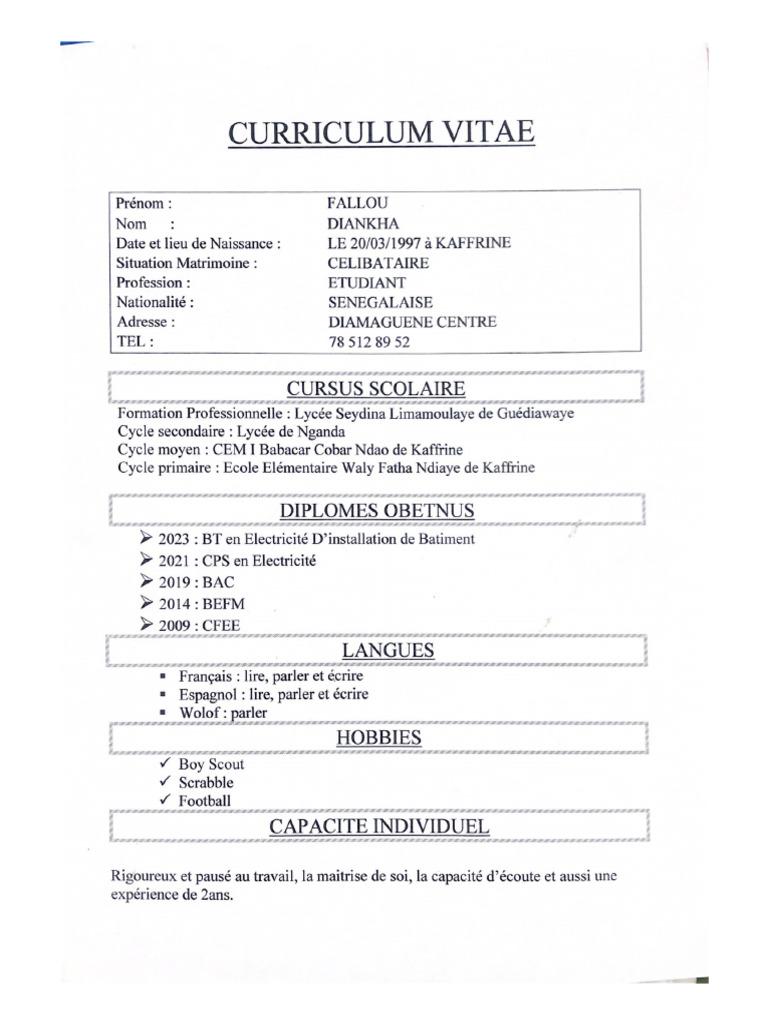 Curriculum Vitae 2 | PDF