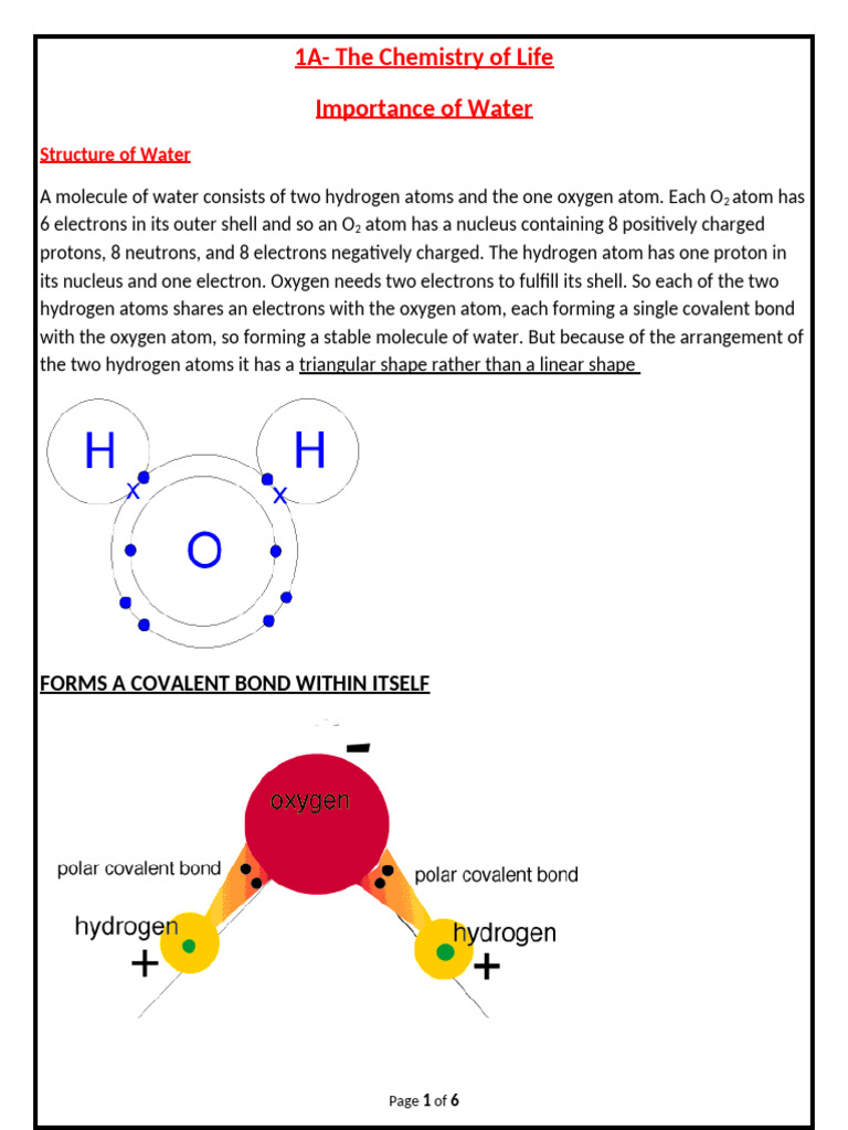 Importance of Water | PDF | Chemical Polarity | Solvation