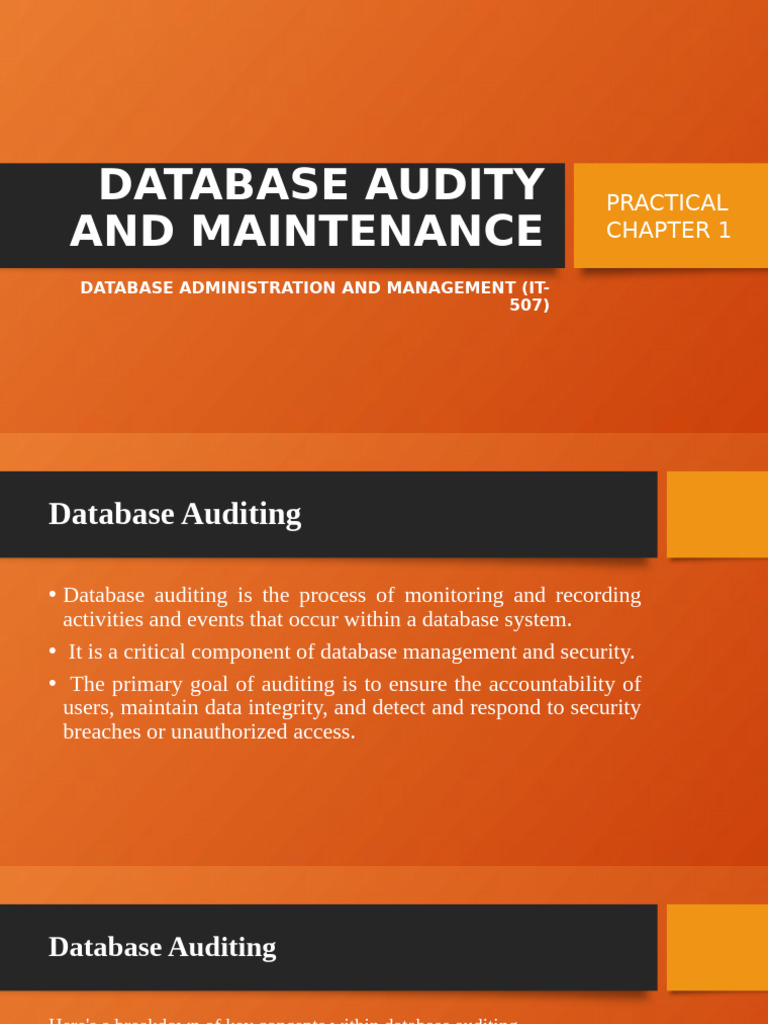 P-1 (Audity and Maintenance | PDF | Databases | Computer Security