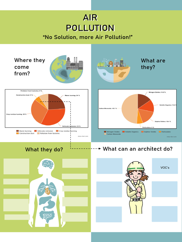 Air Pollution Infograph | PDF