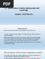 Structure and Function of The Gas Exchange System - Respiration and Gas ...