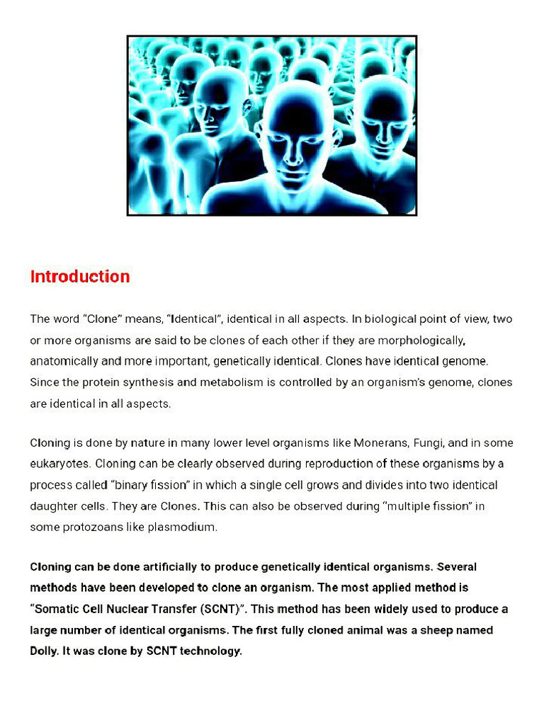 Human Cloning PDF | PDF