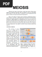 Random Fertilisation and Genetic Variation | PDF | Meiosis | Biological ...