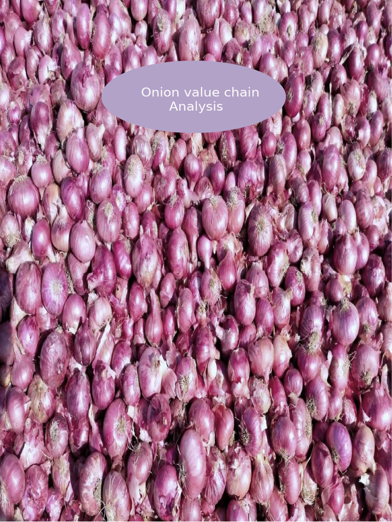 Onion Value Chain Analysis in MP | PDF | Agriculture | Market (Economics)