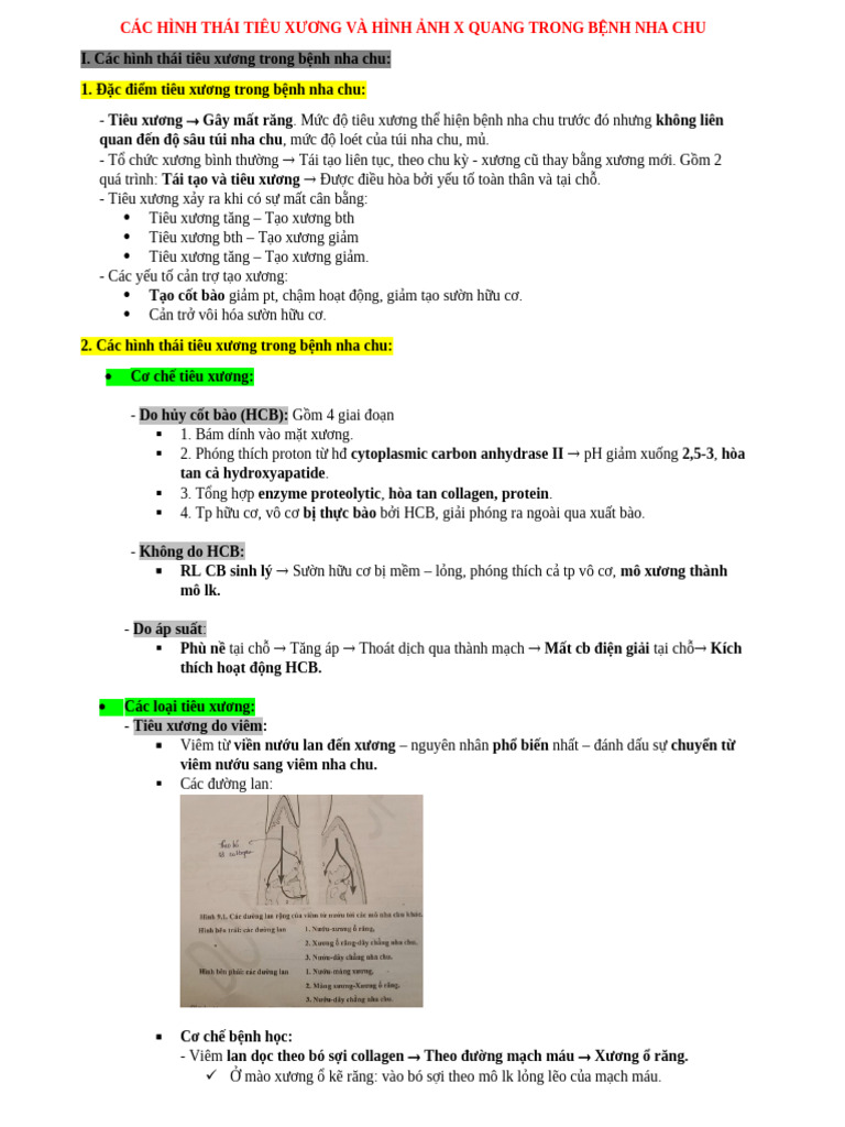 BH. HÌnh ảnh X quang | PDF