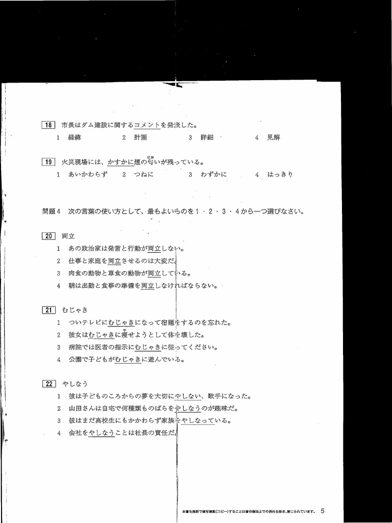 Ri Ben Yu Neng Li Shi Yan n1 Mo Ni Tesuto1 | PDF