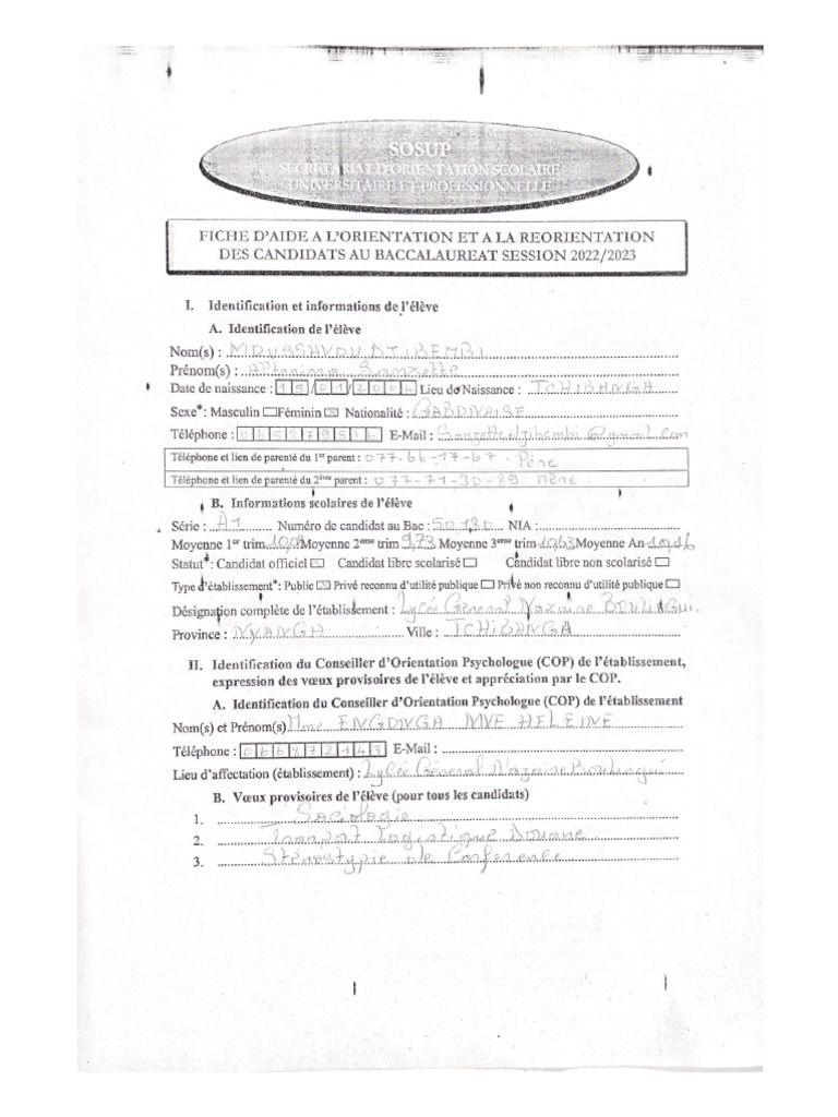 Fiche D'aide A L'orientation Et A La Reorientation | PDF