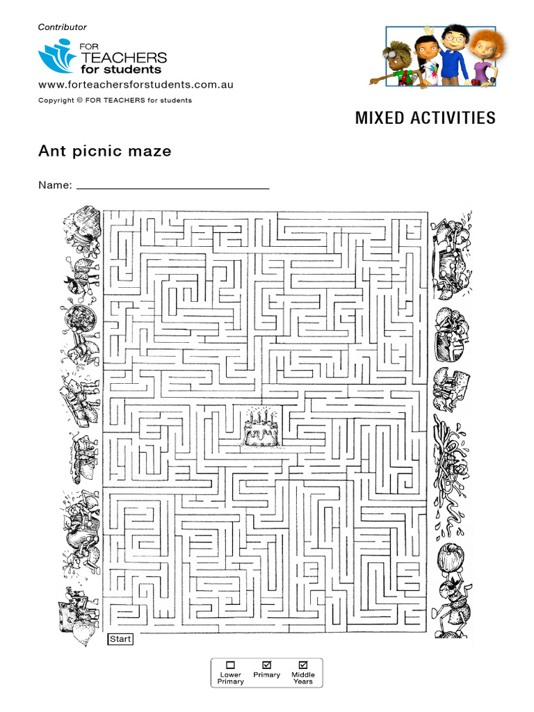 Mixed Ant Picnic Maze | PDF