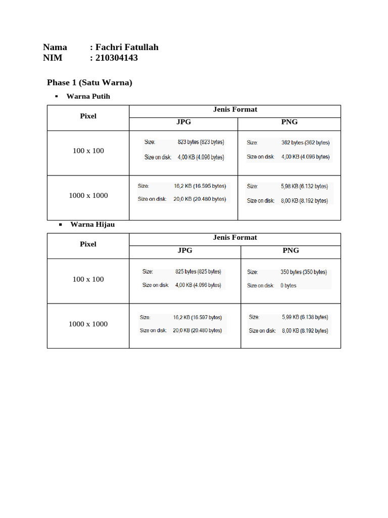 Analisis Citra Bitmap | PDF