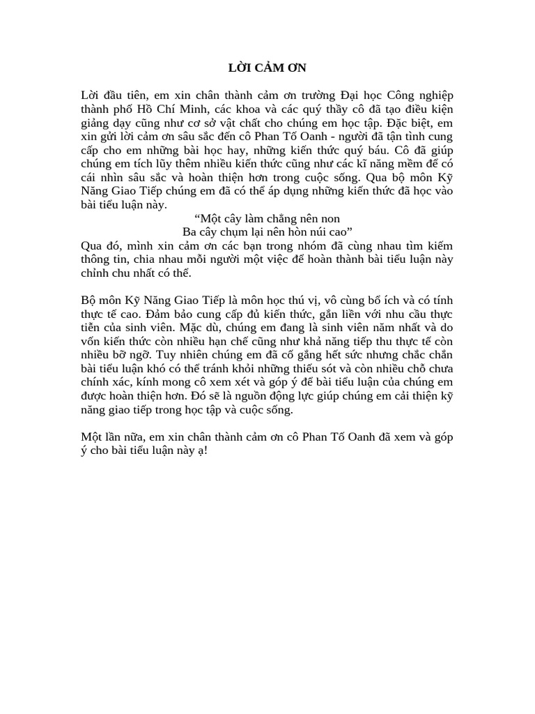 tiểu luận KNGT | PDF