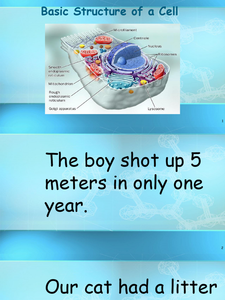 Cell Els g11 2nd Quarter 1st Sem | PDF | Endoplasmic Reticulum | Cell (Biology)