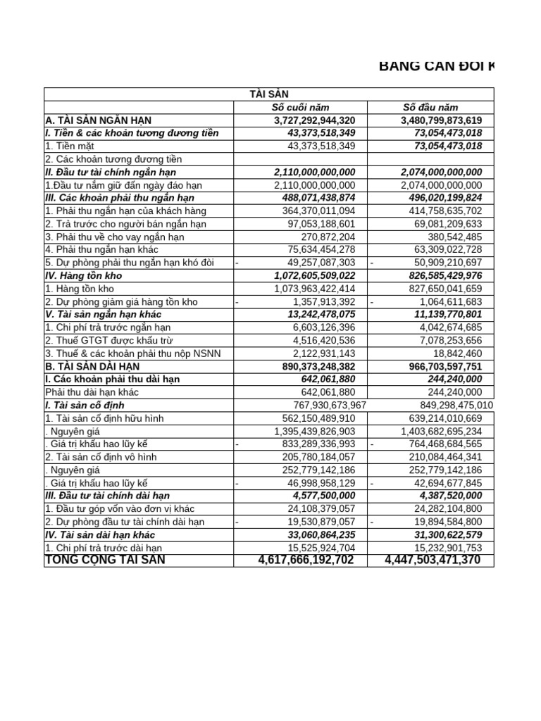 Bản cân đối kế toán DHG 2021 | PDF