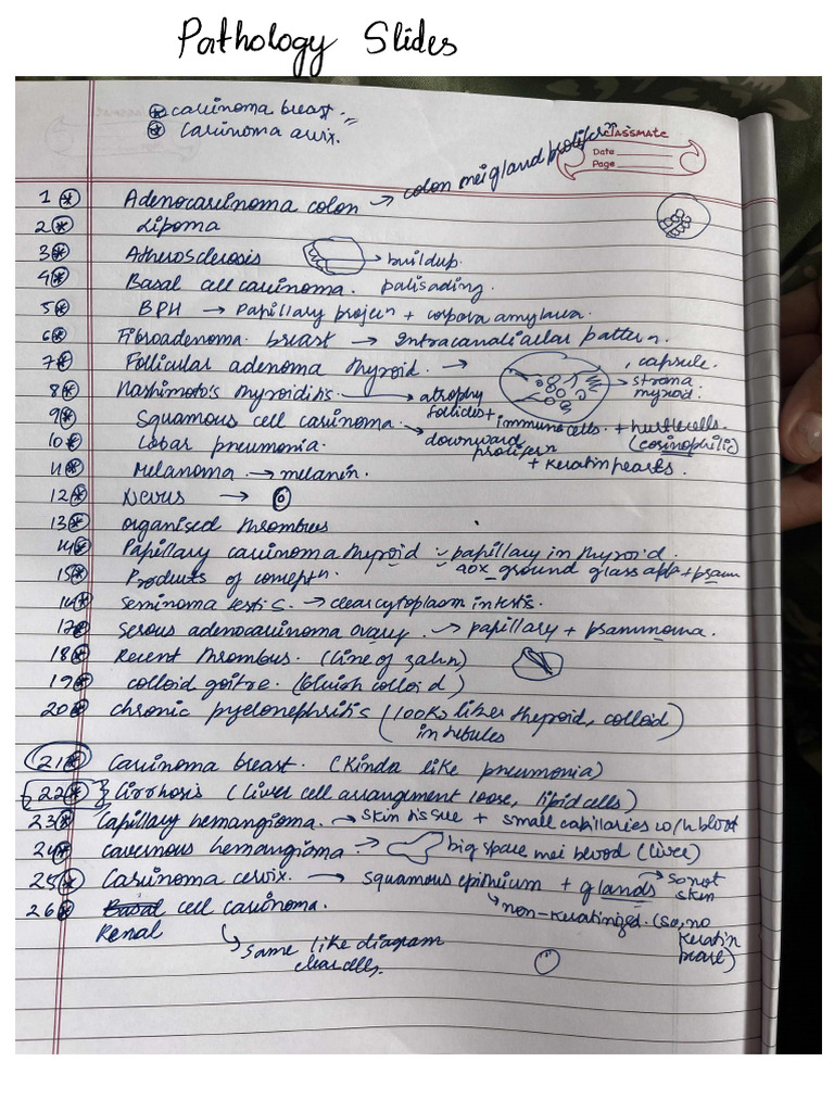 Pathology Slides and Description | PDF