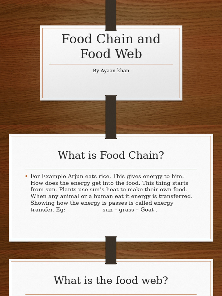 Food Chain and Food Web | PDF
