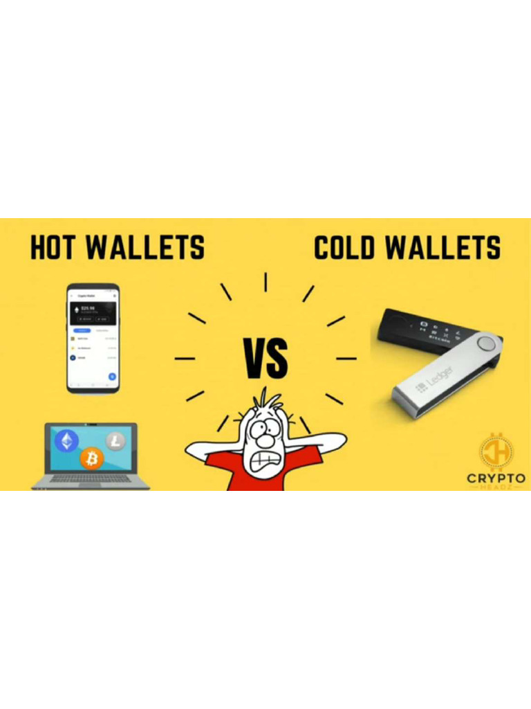 Hot Wallet Vs Cold Wallet | PDF