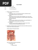 4 Kuadran dan 9 Regio Pada Abdomen | PDF