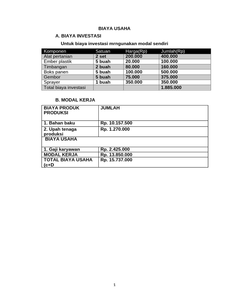 Rincian Biaya Usaha dan Cash Flow | PDF