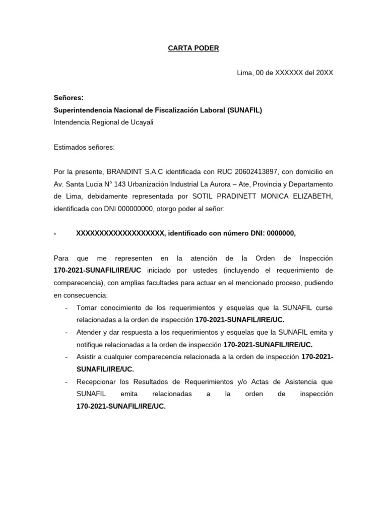 Modelo Poder SUNAFIL | PDF