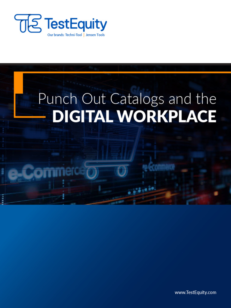 PunchOut Catalogs for B2B Efficiency | PDF | Procurement | Supply Chain