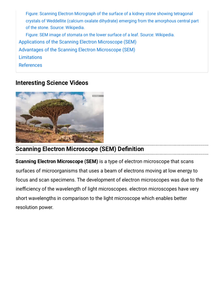 Scanning Electron Microscope Overview | PDF | Scanning Electron ...