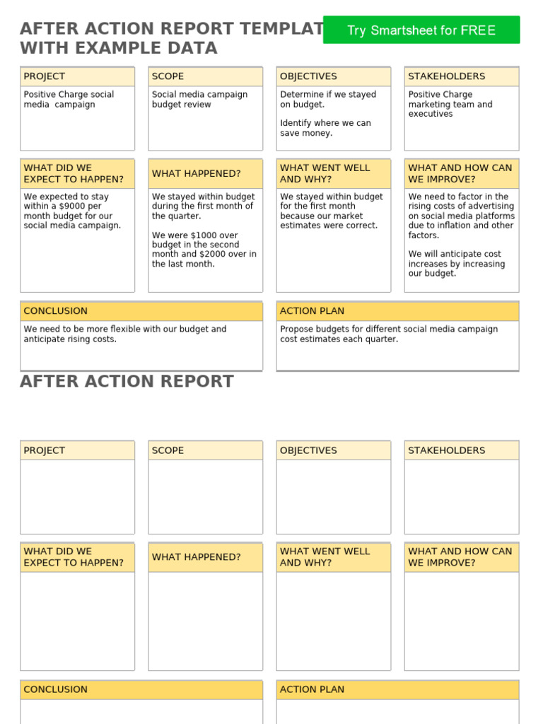 After Action Report Template Example | PDF | Social Media | Popular ...