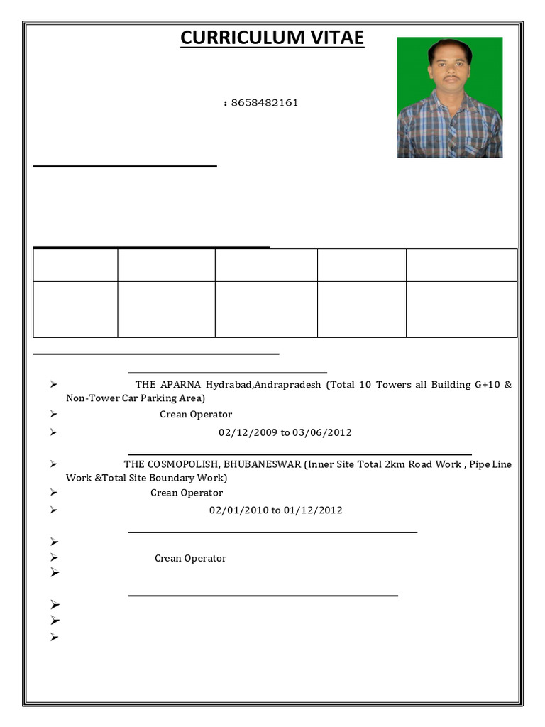 Curriculum Vitae: Career Objectives | PDF