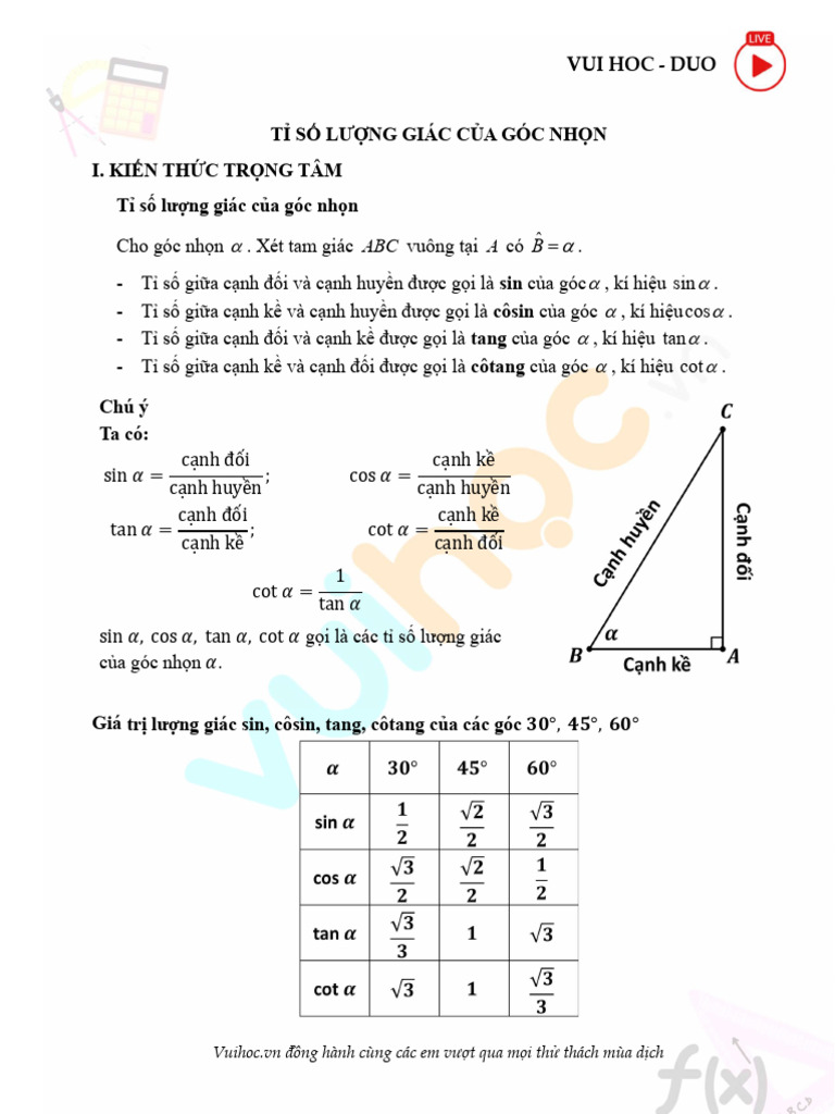 t9 t1b2 Ti So Luong Giac Cua Goc Nhon | PDF