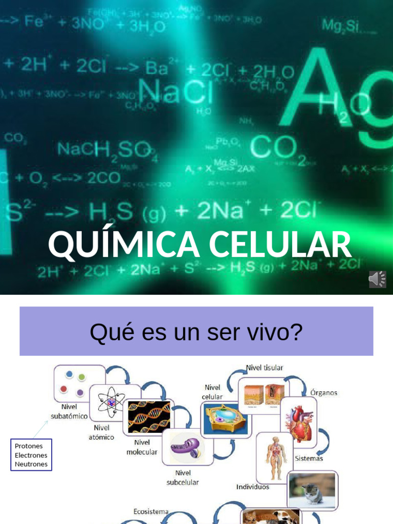 1 - Química de La Vida | PDF | Moléculas | Macromoléculas
