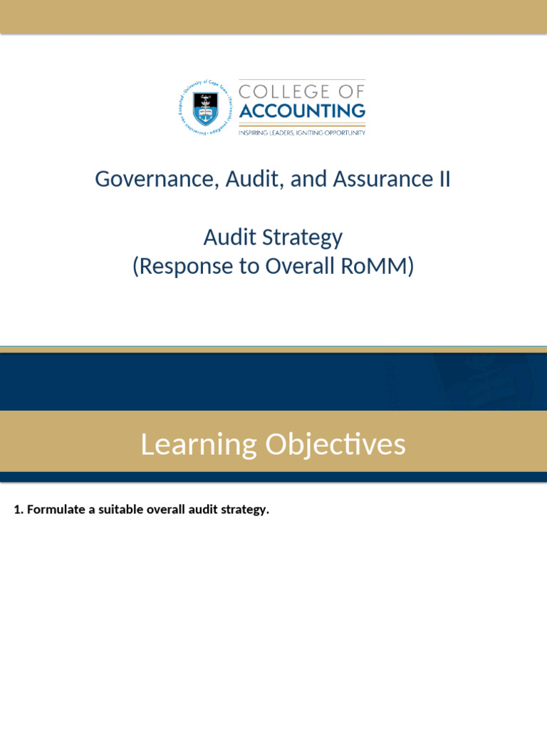 Audit+Strategy | PDF | Audit | Business Economics