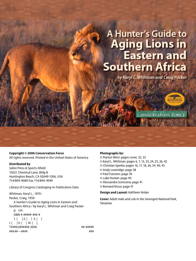 Lion Aging Guide-1 | PDF | Lion | Hunting