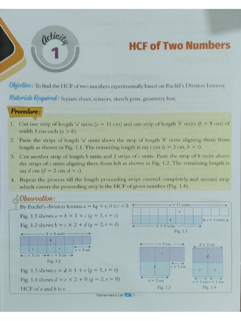 Document 19 | PDF